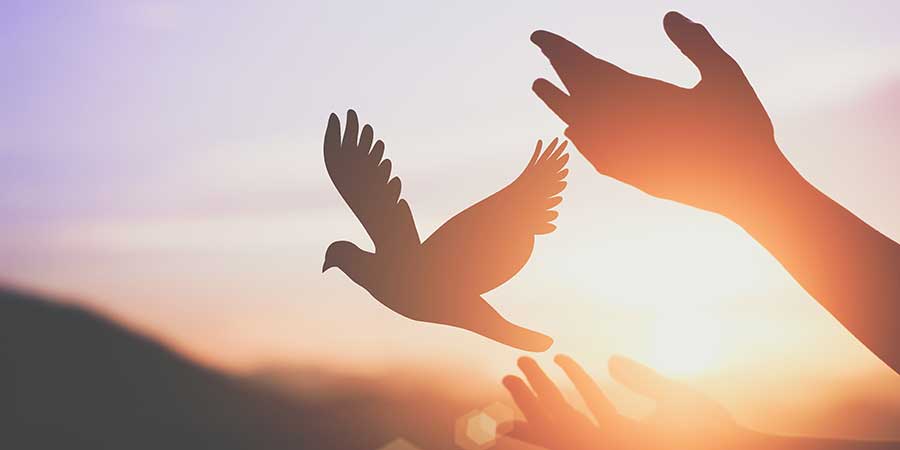 Spirit Rising — Young Quaker Voices | Quaker Religious Education ...